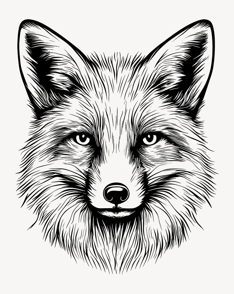 Fox Drawing PNG Images | Free Photos, PNG Stickers, Wallpapers ...