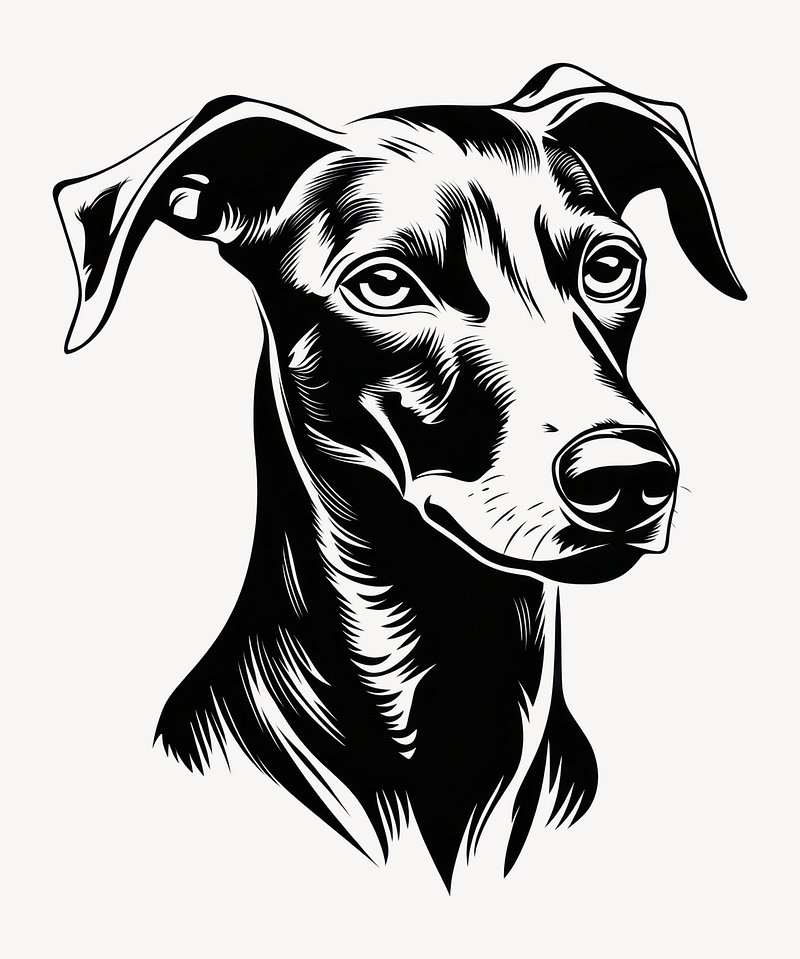 Simple greyhound dog full body | Free Vector - rawpixel