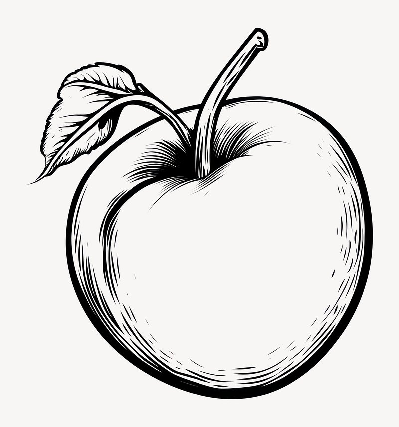 Apple Drawing Images | Free Photos, PNG Stickers, Wallpapers ...