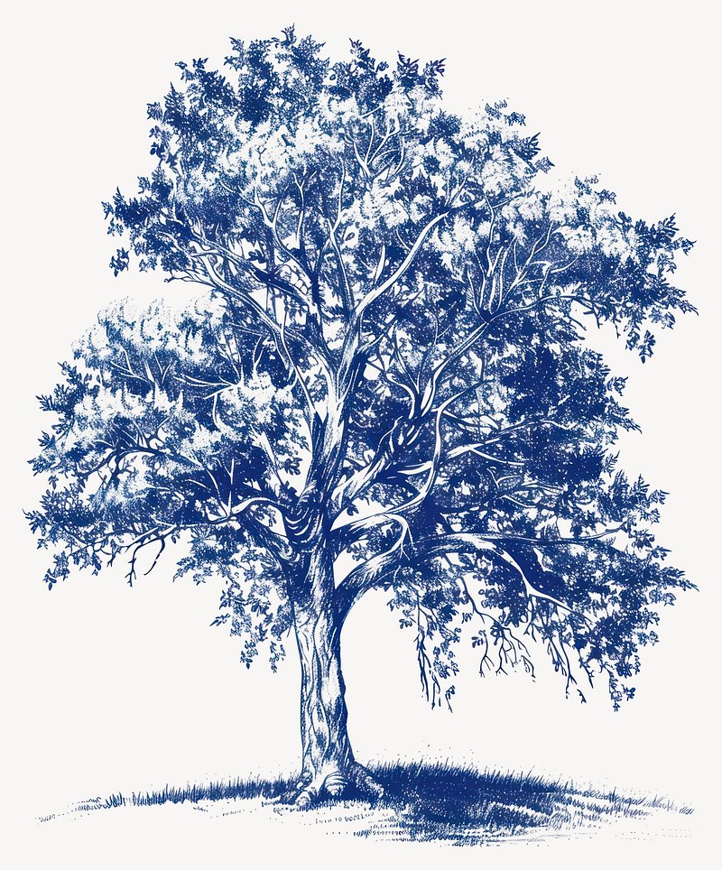PNG Tree drawing blue art | Free PNG - rawpixel