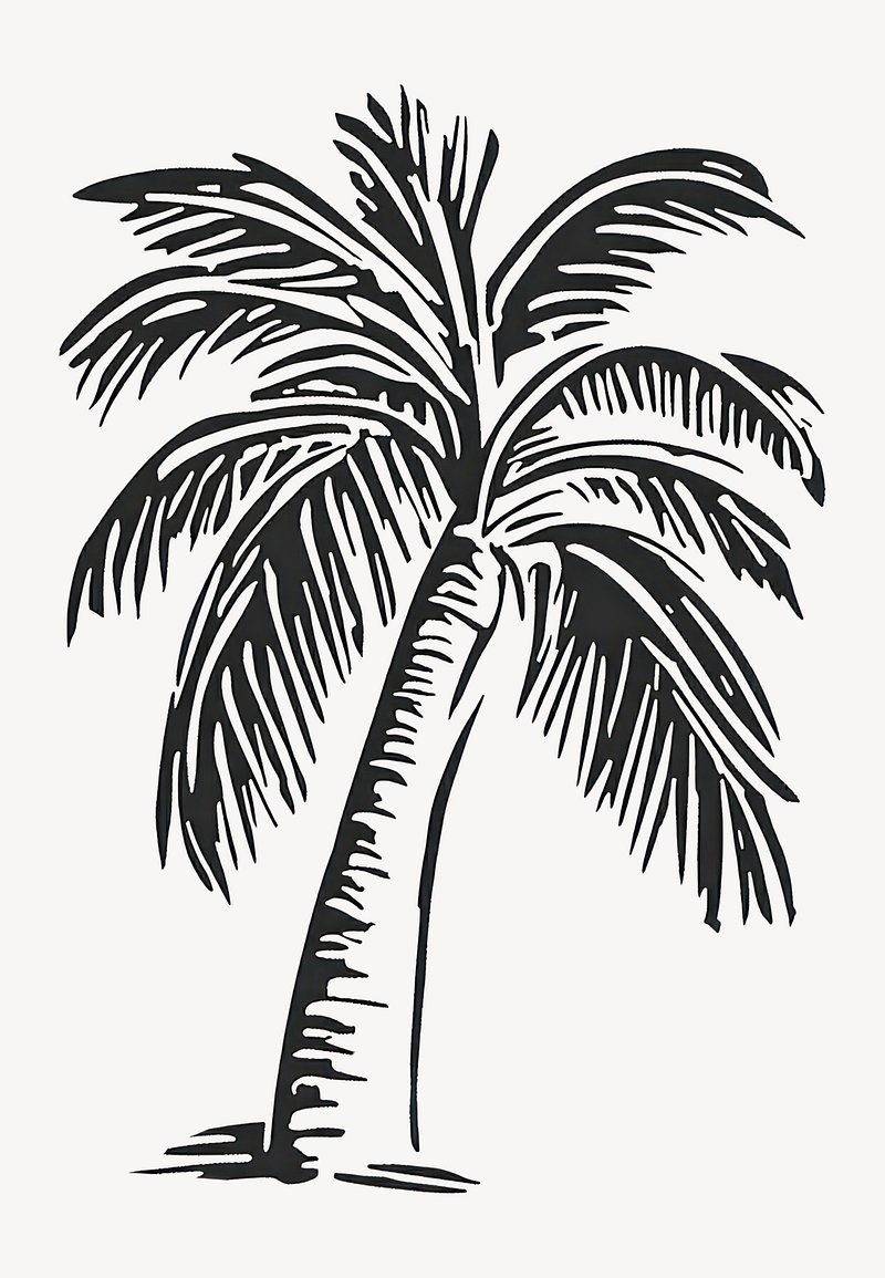Coconut Tree Vector Images | Free Photos, PNG Stickers, Wallpapers ...