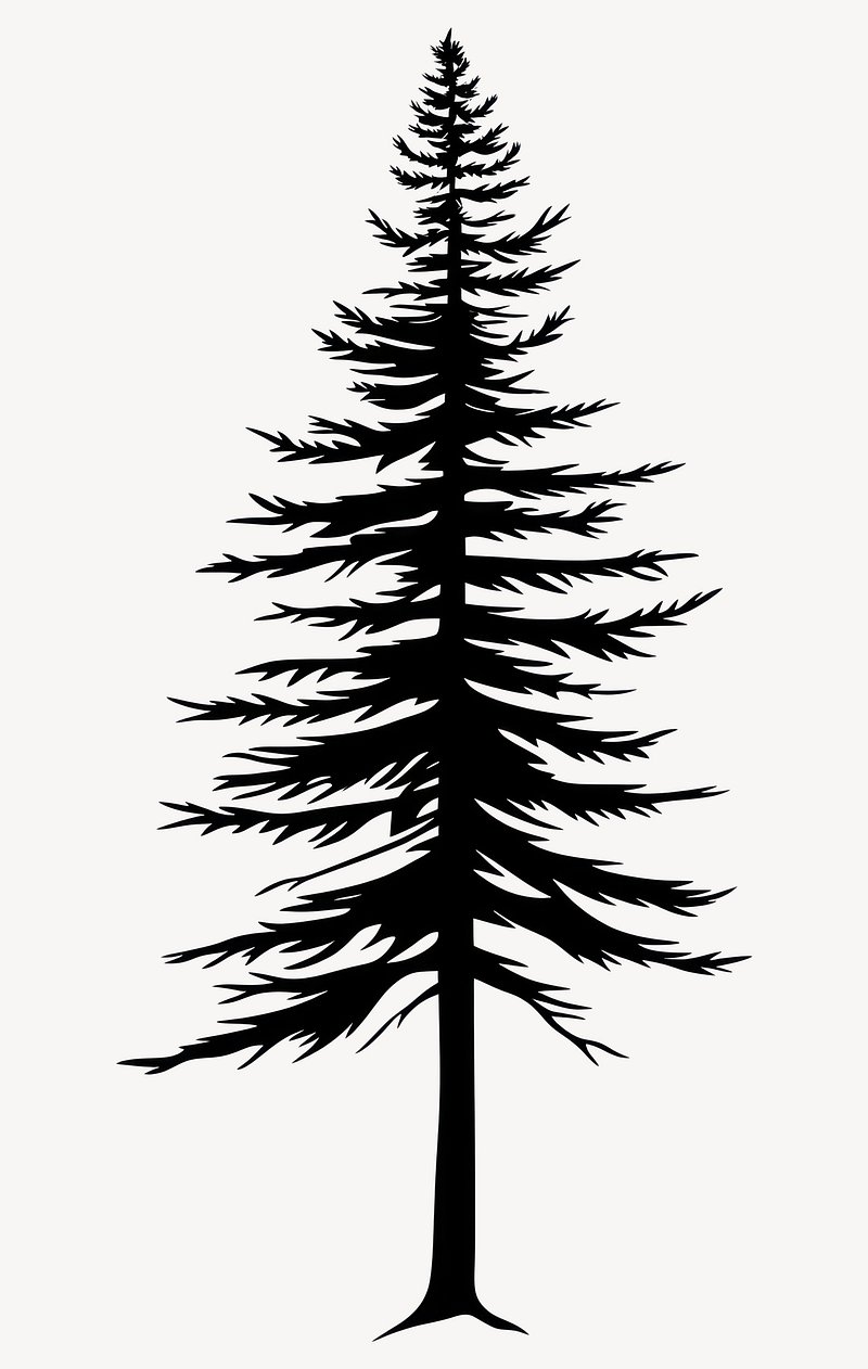 Tall tree silhouette illustration black | Free Vector Illustration ...