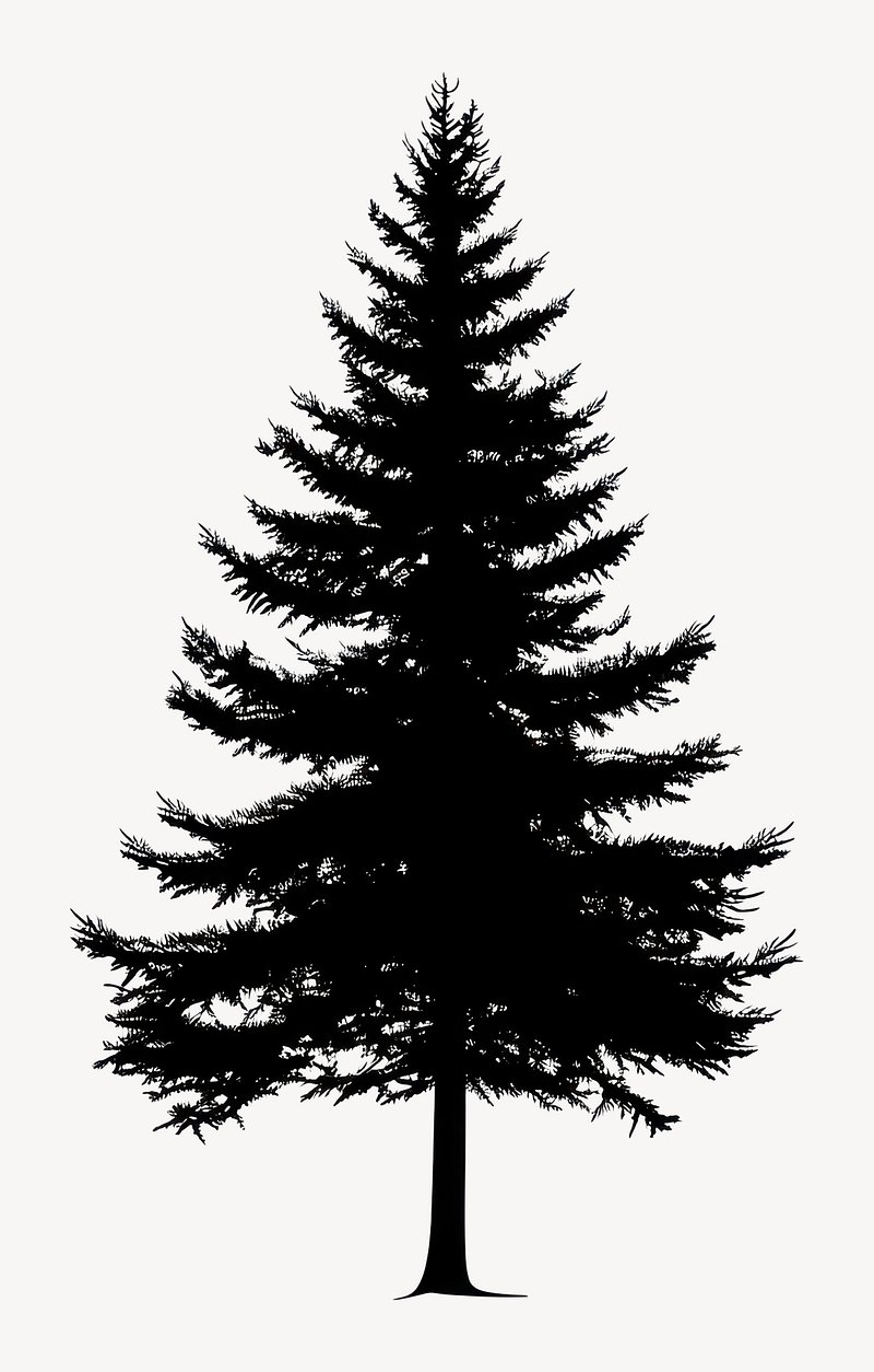 Pine tree silhouette illustration black | Free Vector Illustration ...