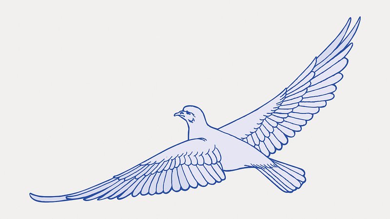 Dove Elements Images | Free Photos, PNG Stickers, Wallpapers ...