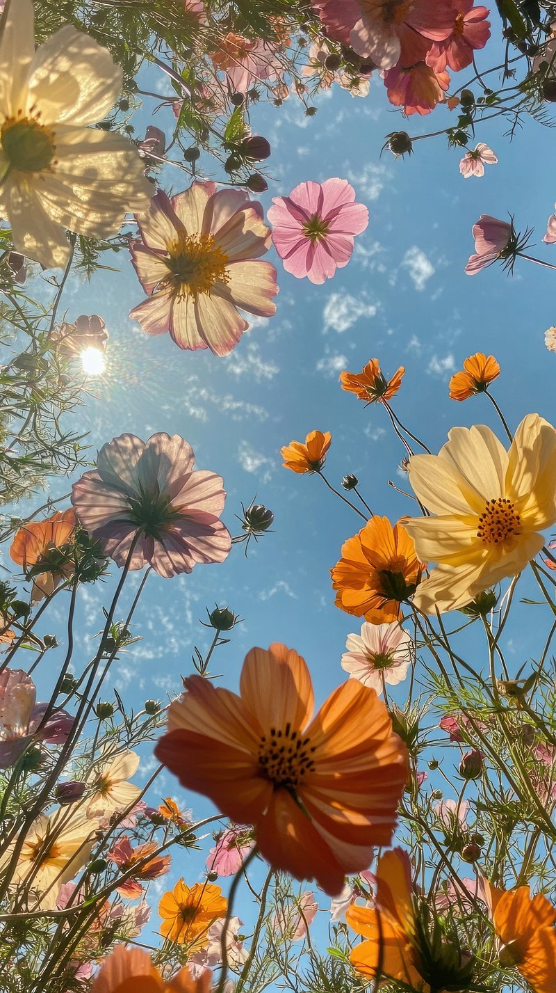 Beautiful Landscape Wallpaper Plant Scenery Spring Images | Free Photos ...