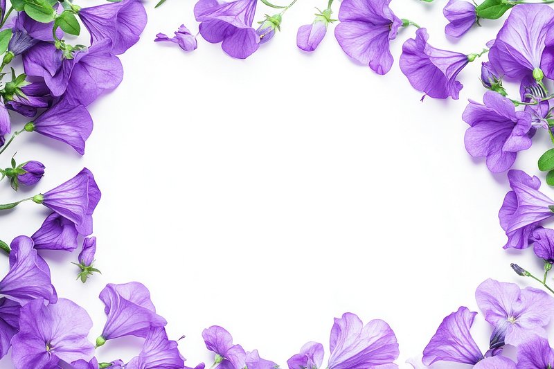 Flower Border Transparent Images | Free Photos, PNG Stickers ...