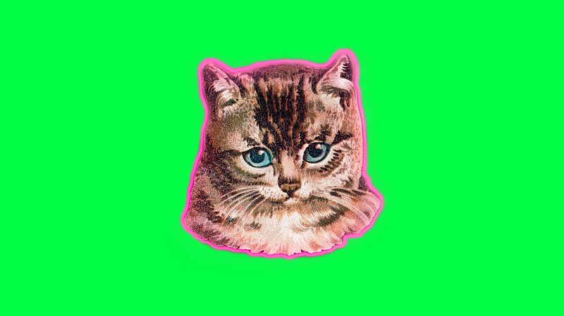 Staring cat sticker illustration | Premium Photo - rawpixel