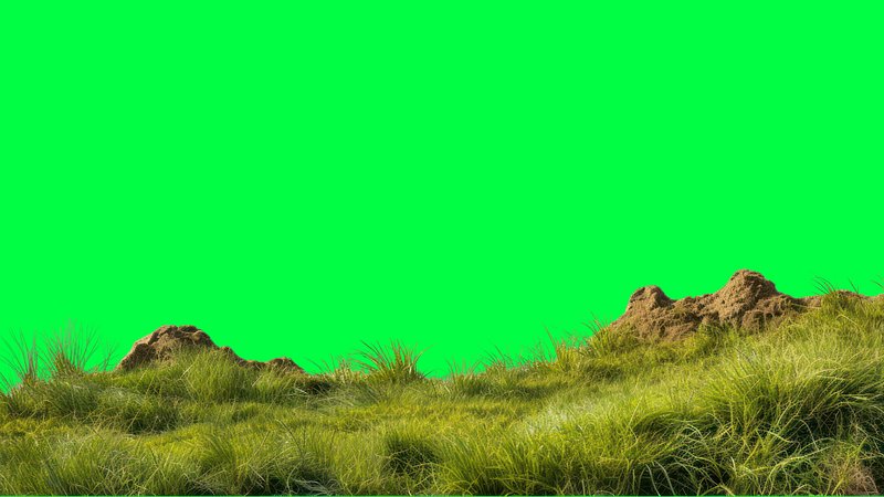 PNG Wild grass hills landscape | Premium PNG - rawpixel