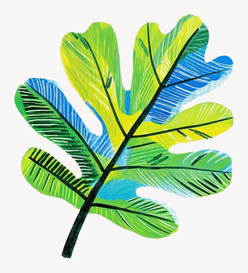 Green oak leave leaf art | Free Vector - rawpixel