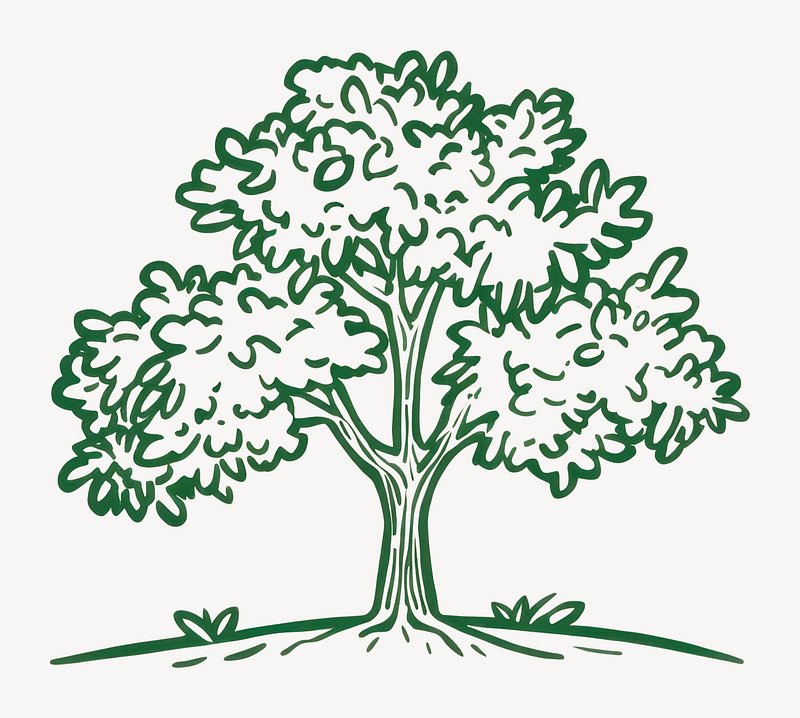 Tree Drawing Transparent Images | Free Photos, PNG Stickers, Wallpapers ...