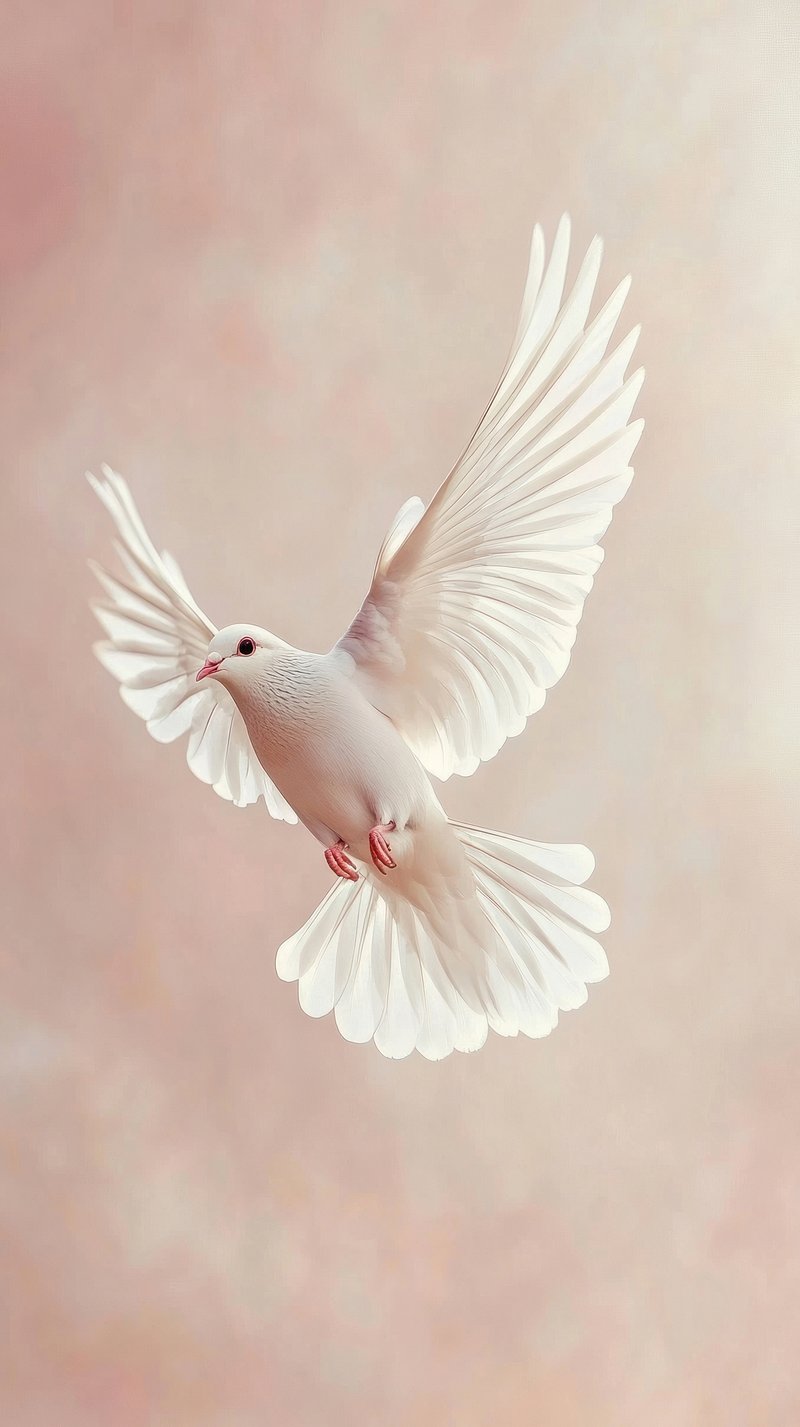 Pigeon Wallpaper Minimal Background Images | Free Photos, PNG Stickers ...