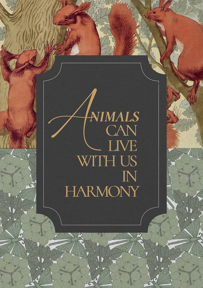 Download+free+can Graphic Images | Free Photos, PNG Stickers ...