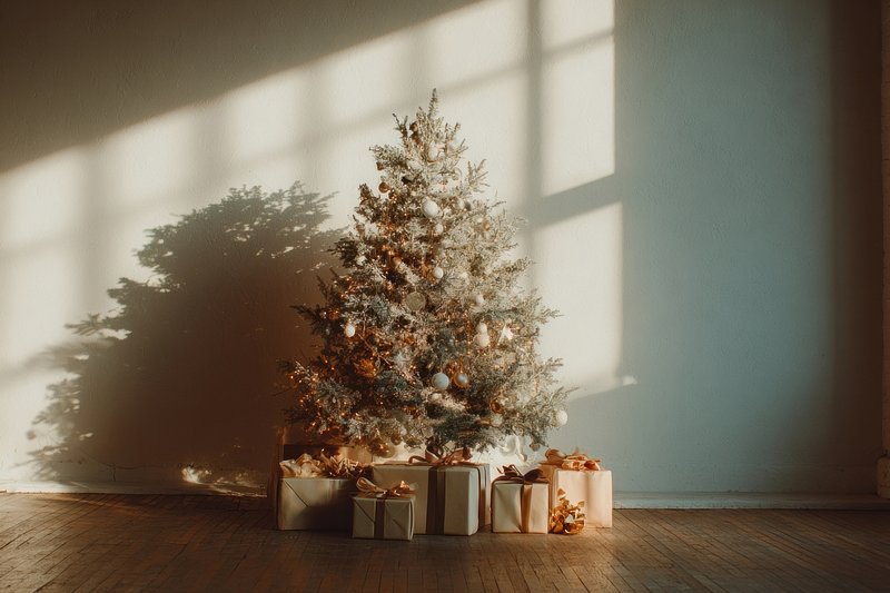 Empty Christmas Tree Images | Free Photos, PNG Stickers, Wallpapers ...