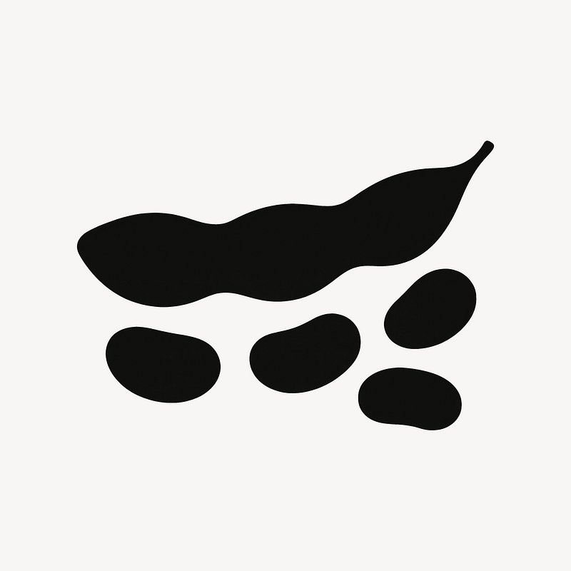 Soybean Plant And Soybean PNG Images | Free Photos, PNG Stickers ...