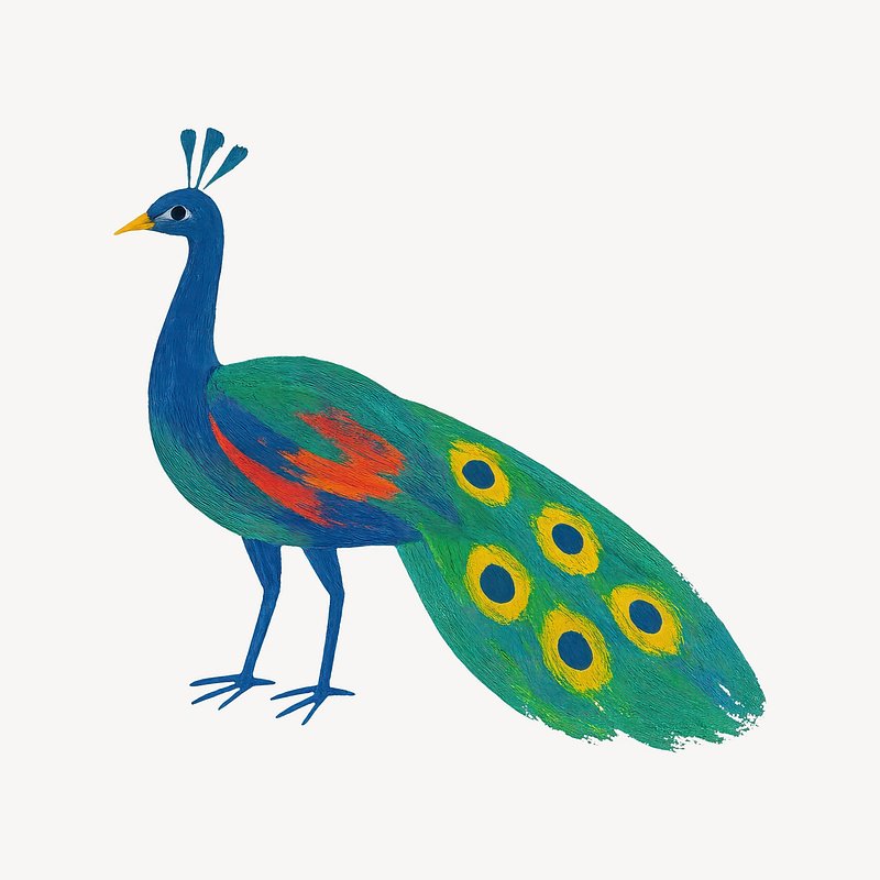 Feather+art Shadow Images | Free Photos, PNG Stickers, Wallpapers ...