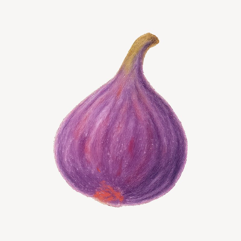 Purple Fig Background Images | Free Photos, PNG Stickers, Wallpapers ...