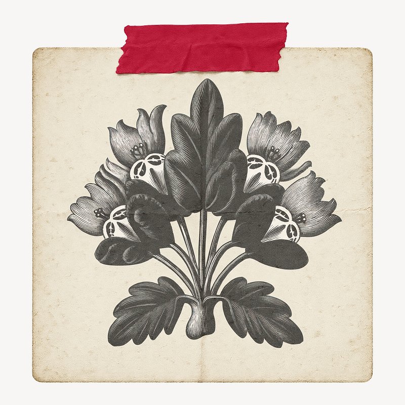 \photos Design Mockup Psd Paper Images | Download Free Design Resources on rawpixel