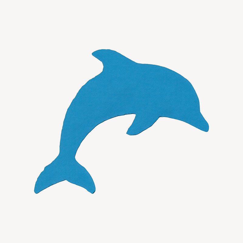 Dolphin Outline Images | Free Photos, PNG Stickers, Wallpapers ...
