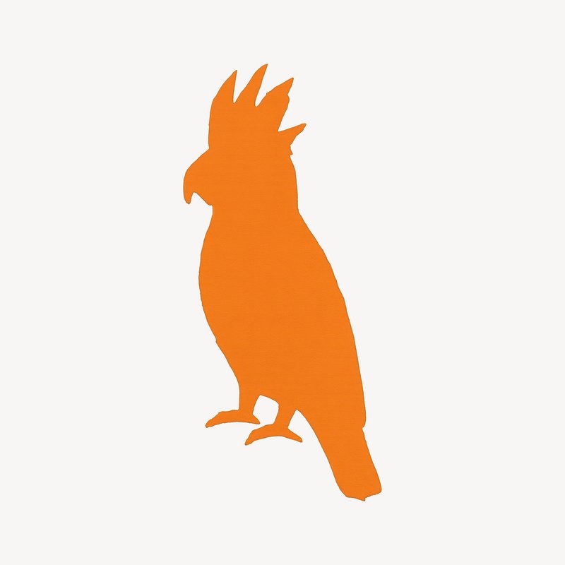 Cutout Birds Light Images | Free Photos, PNG Stickers, Wallpapers ...