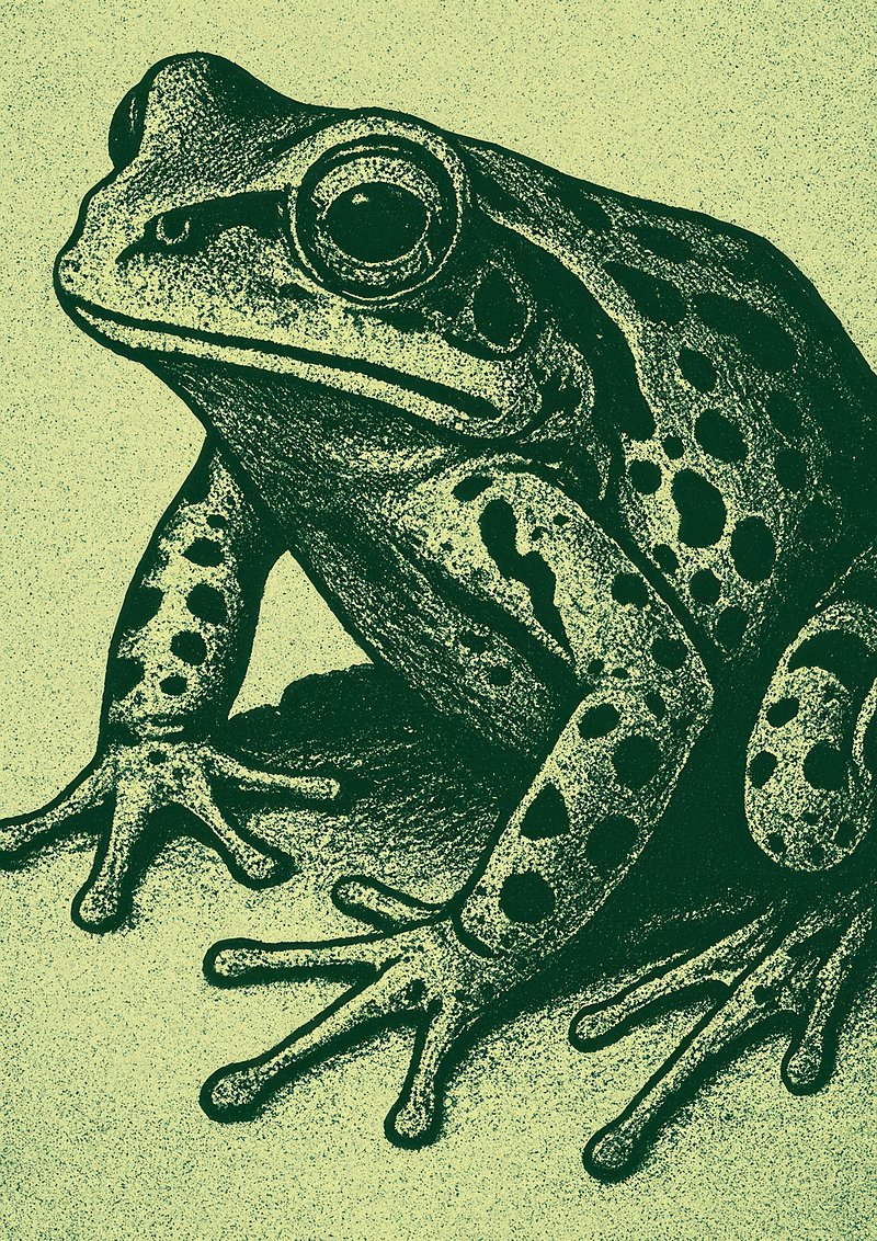 Wallpaper+frog Texture Images | Free Photos, PNG Stickers, Wallpapers ...