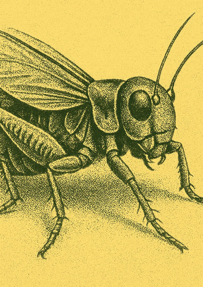 History+drawing Graphic Images | Free Photos, PNG Stickers, Wallpapers ...