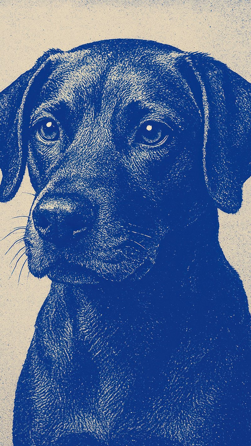 Portrait+of+dogs Animal Images | Free Photos, PNG Stickers, Wallpapers ...