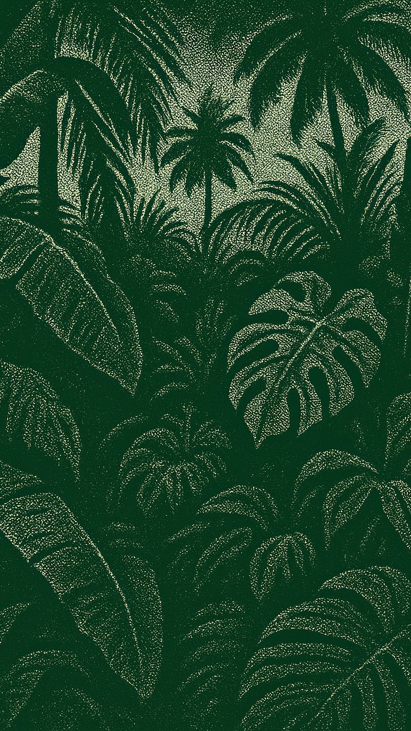Exotic Jungle Patterns Leaves Images | Free Photos, PNG Stickers ...