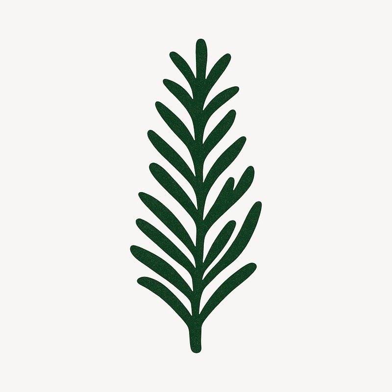 Drawing+of+rosemary Art Images | Free Photos, PNG Stickers, Wallpapers ...