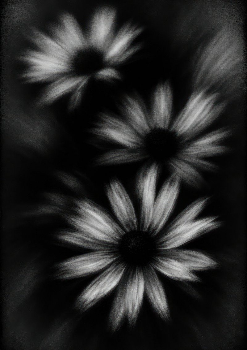 White Background With Vignette Black JPEG Images | Free Photos, PNG ...