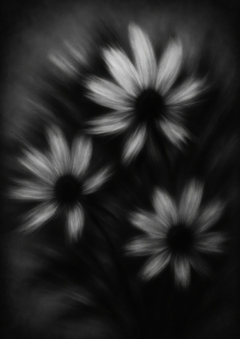 Background White Vignette Illustration Art Images | Free Photos, PNG ...