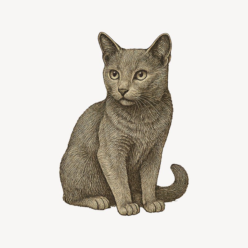 Russians Textures Aesthetic Images | Free Photos, PNG Stickers ...