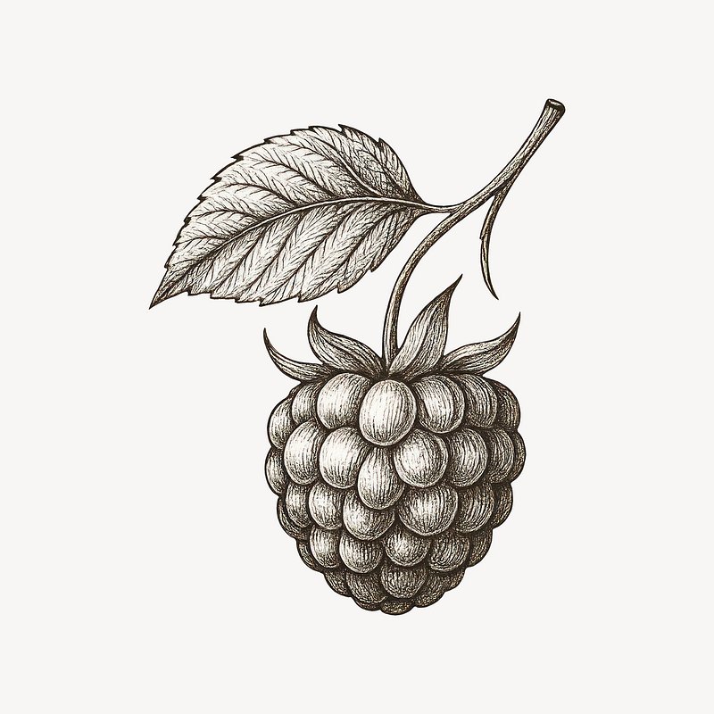 Raspberry Aesthetic Fruit Transparent Images | Free Photos, PNG ...