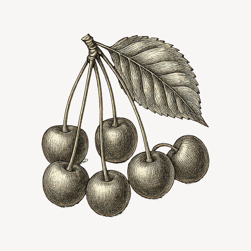 Cherry Cluster Fruit Images | Free Photos, PNG Stickers, Wallpapers ...
