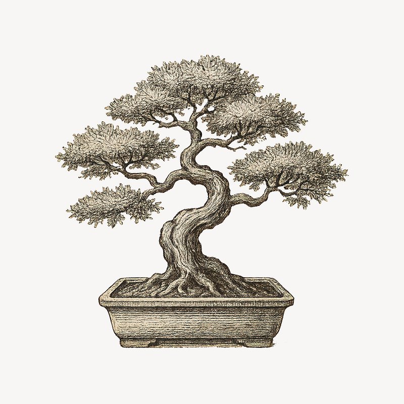 Bonsai+tree+drawings Background Images | Free Photos, PNG Stickers ...
