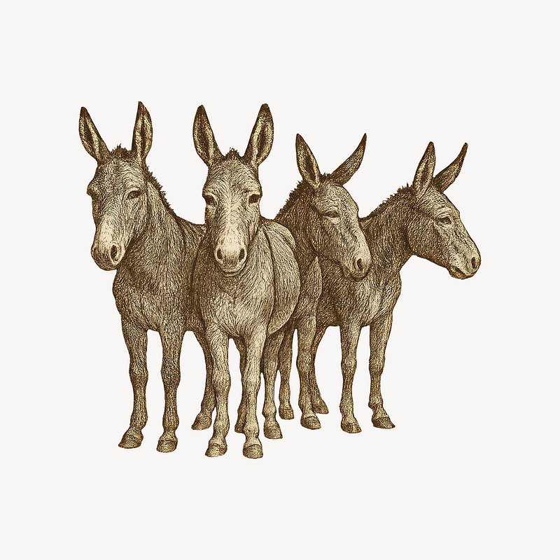 Donkey Draw Art Shadow Images | Free Photos, PNG Stickers, Wallpapers ...