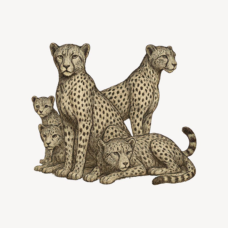 Family PNG Vintage Shadow Aesthetic Images | Free Photos, PNG Stickers ...