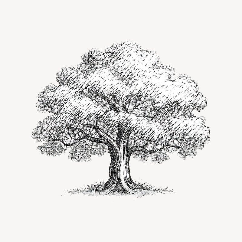 Tree+handmade+drawing Shadow Images | Free Photos, PNG Stickers ...