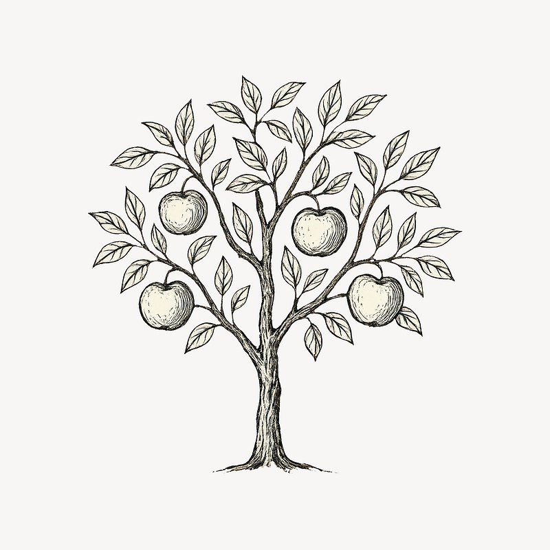 Tree+handmade+drawing PNG Images | Free Photos, PNG Stickers ...