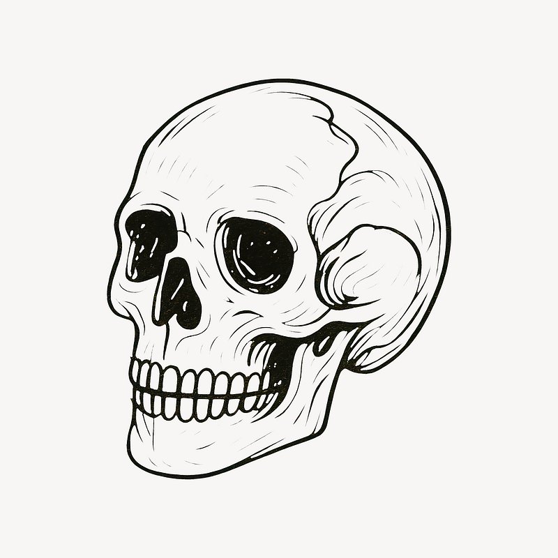 Drawing Of Anatomical Hand PNG Vintage Images | Free Photos, PNG ...