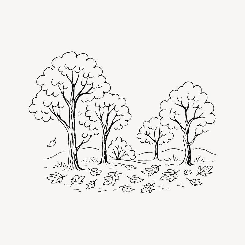 Forest, Sketch Texture Nature Shadow PNG Images | Free Photos, PNG ...