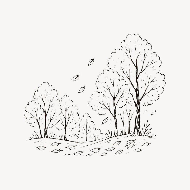 Forest, Sketch Texture Nature Shadow Images | Free Photos, PNG Stickers ...