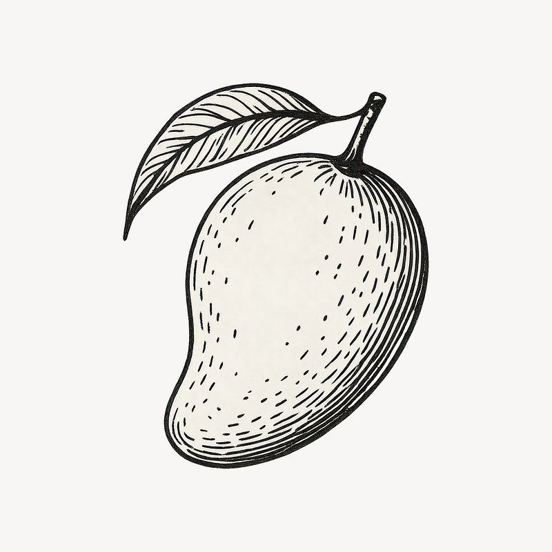 Mango+leaves Art Images | Free Photos, PNG Stickers, Wallpapers ...