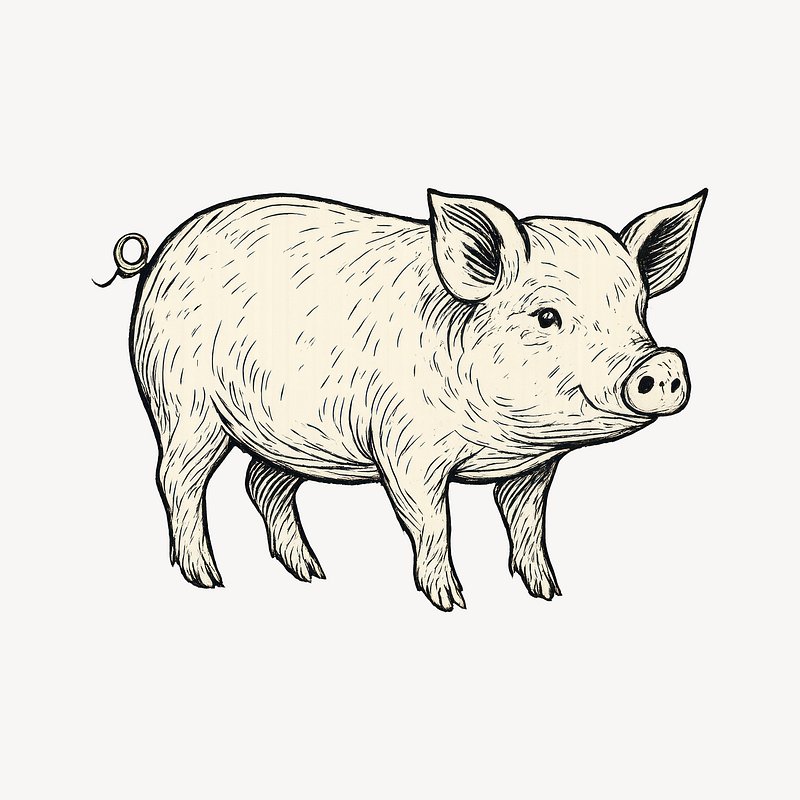 Fine+pig Texture Images | Free Photos, PNG Stickers, Wallpapers ...