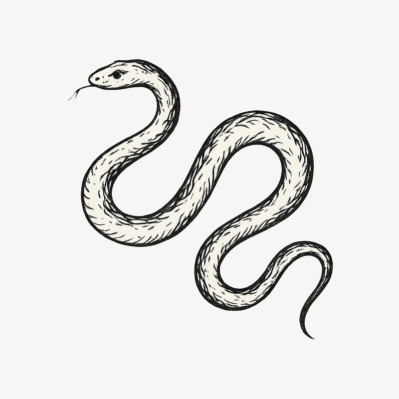 Serpent+hand Snake Images | Free Photos, PNG Stickers, Wallpapers ...