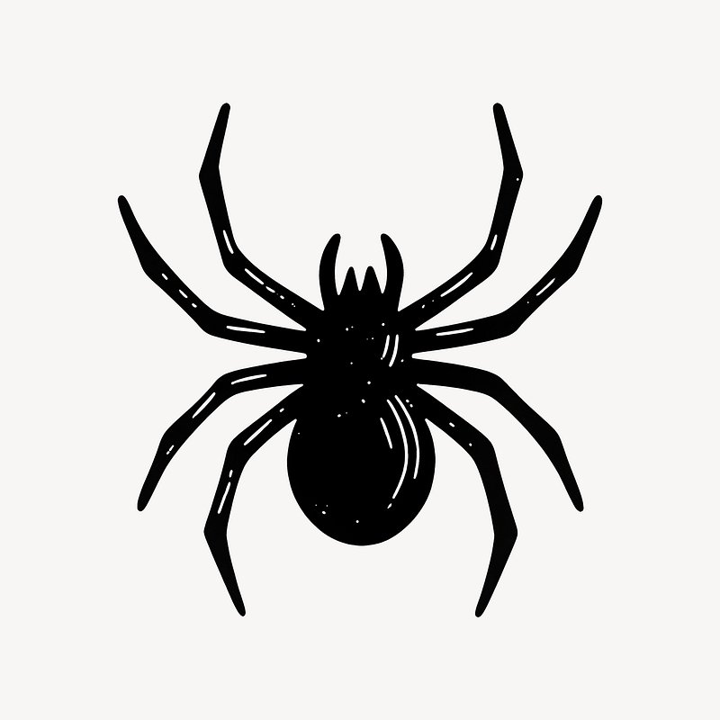 Vintage Spider Web Icon Images | Free Photos, PNG Stickers, Wallpapers ...