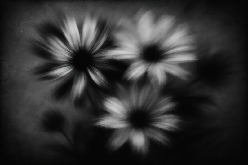 Background White Vignette Illustration Images | Free Photos, PNG ...