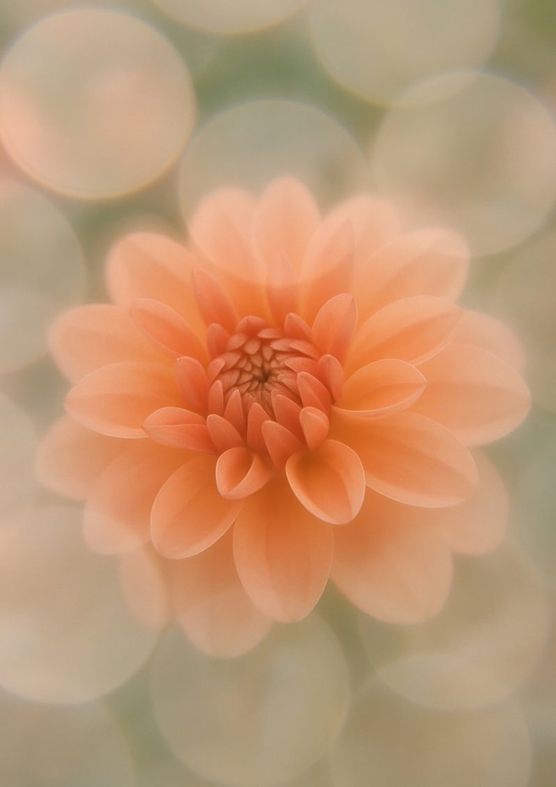 Wallpaper Bubbles Background Aesthetic Soft Images | Free Photos, PNG ...