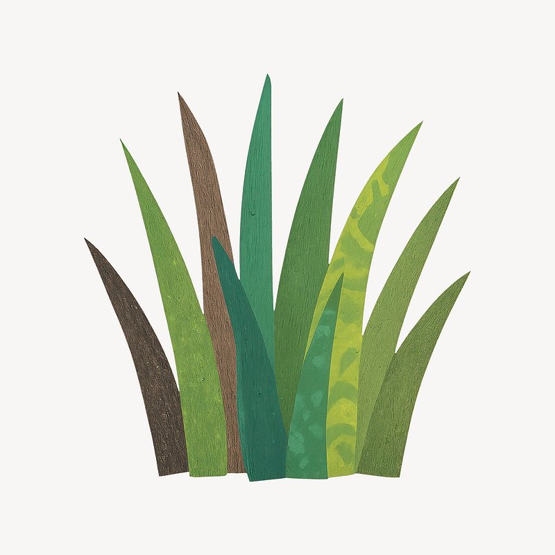 Ripped Pattern Paper Texture Images | Free Photos, PNG Stickers ...