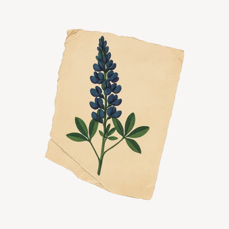 Indigo Plant Design Images | Free Photos, PNG Stickers, Wallpapers ...