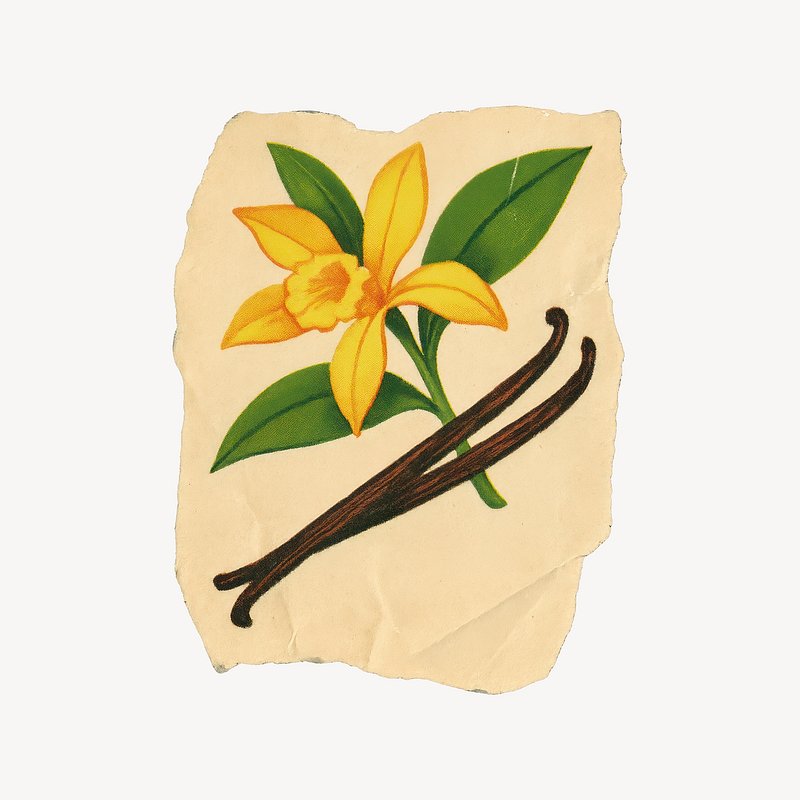 Vanilla+font Transparent Images | Free Photos, PNG Stickers, Wallpapers ...